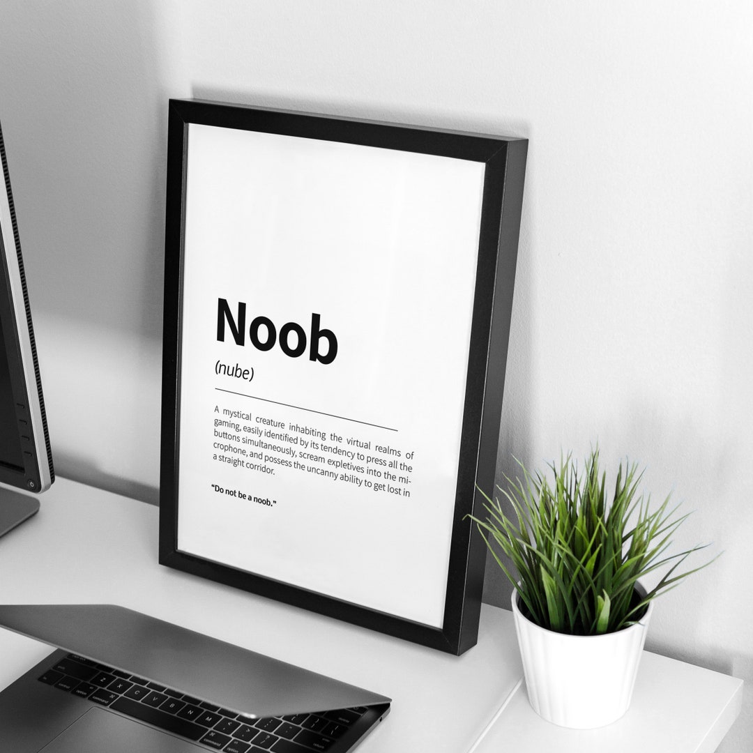 Noob Definition Gaming Print Gamer Gift Gaming Poster Boys Bedroom ...