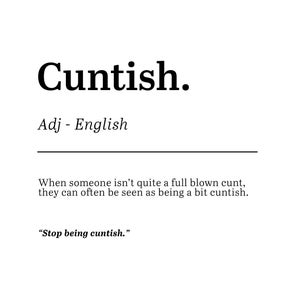 C**tish Definition Print | Wall Art | Swearing - Adult Humour | A4, A3 ...