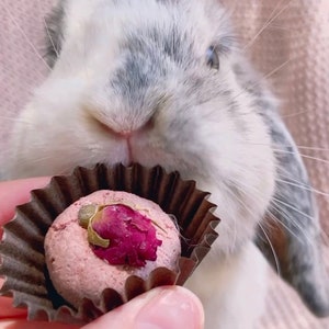 Rosey Bon Bon Bunny Treats, Rabbits Treats, Rose Bunny Treats - Etsy