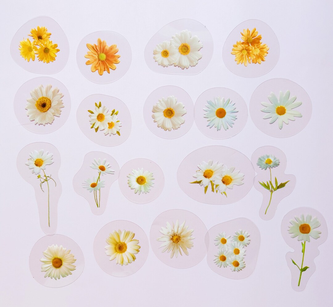 Aesthetic Daisy Sticker Pack-packaging Supply - Etsy