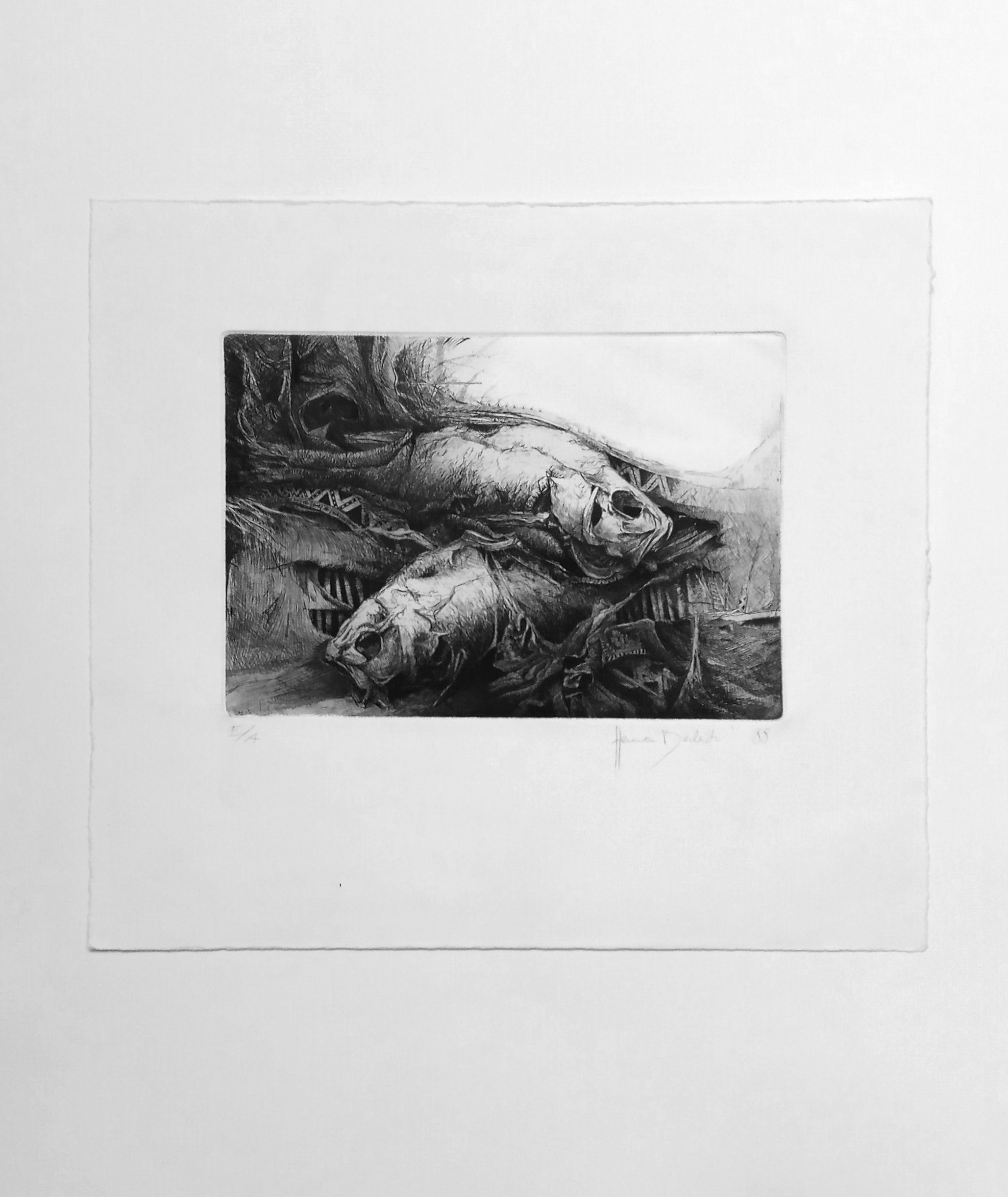 Piscis fish Intaglio grabado grabado en papel, arte de impresión ...