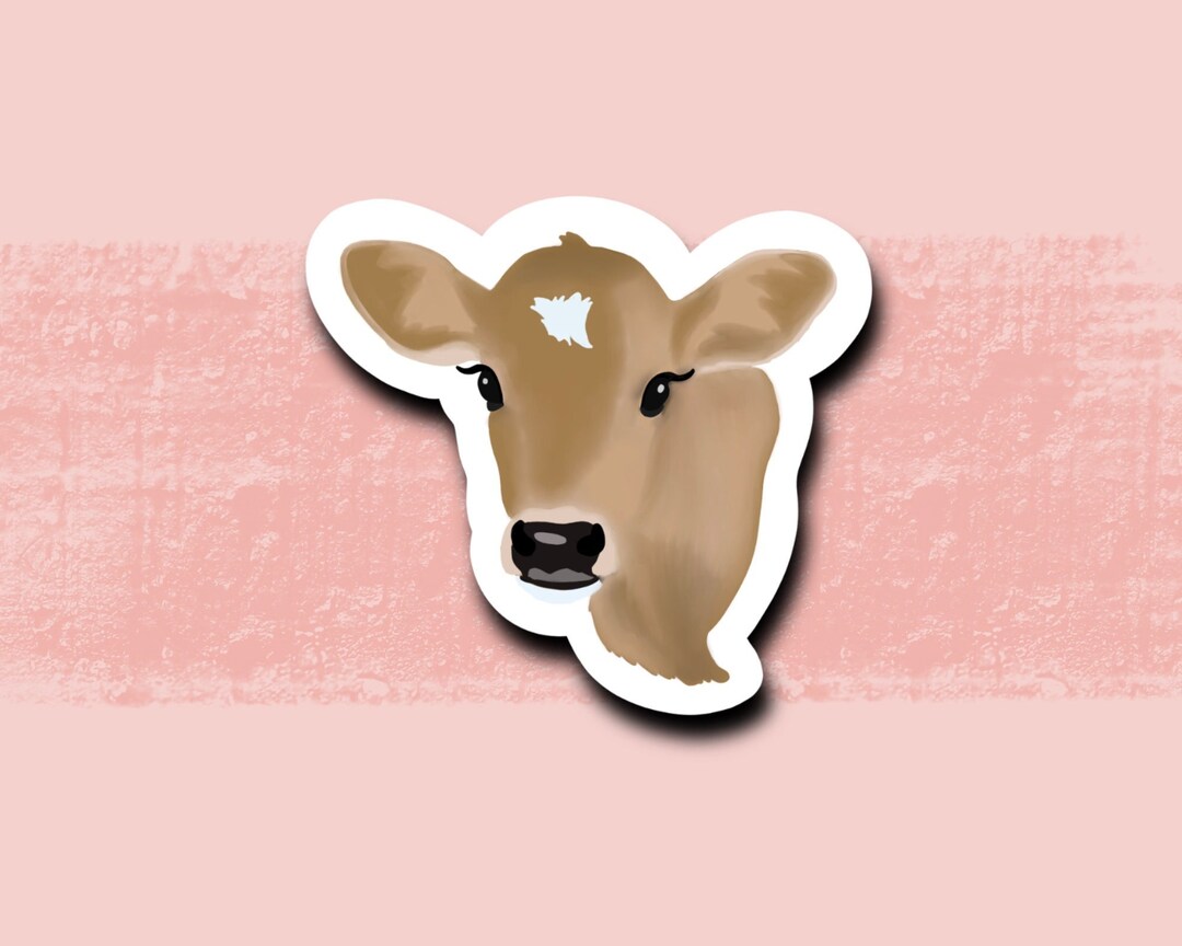 Jersey Calf Sticker Cow Sticker Farm Style - Etsy