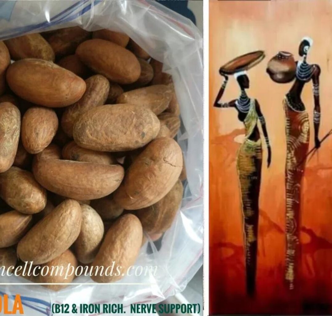 Noix de cola amères (riche en B12) - Origine. Afrique de l'Ouest. Ghana ...