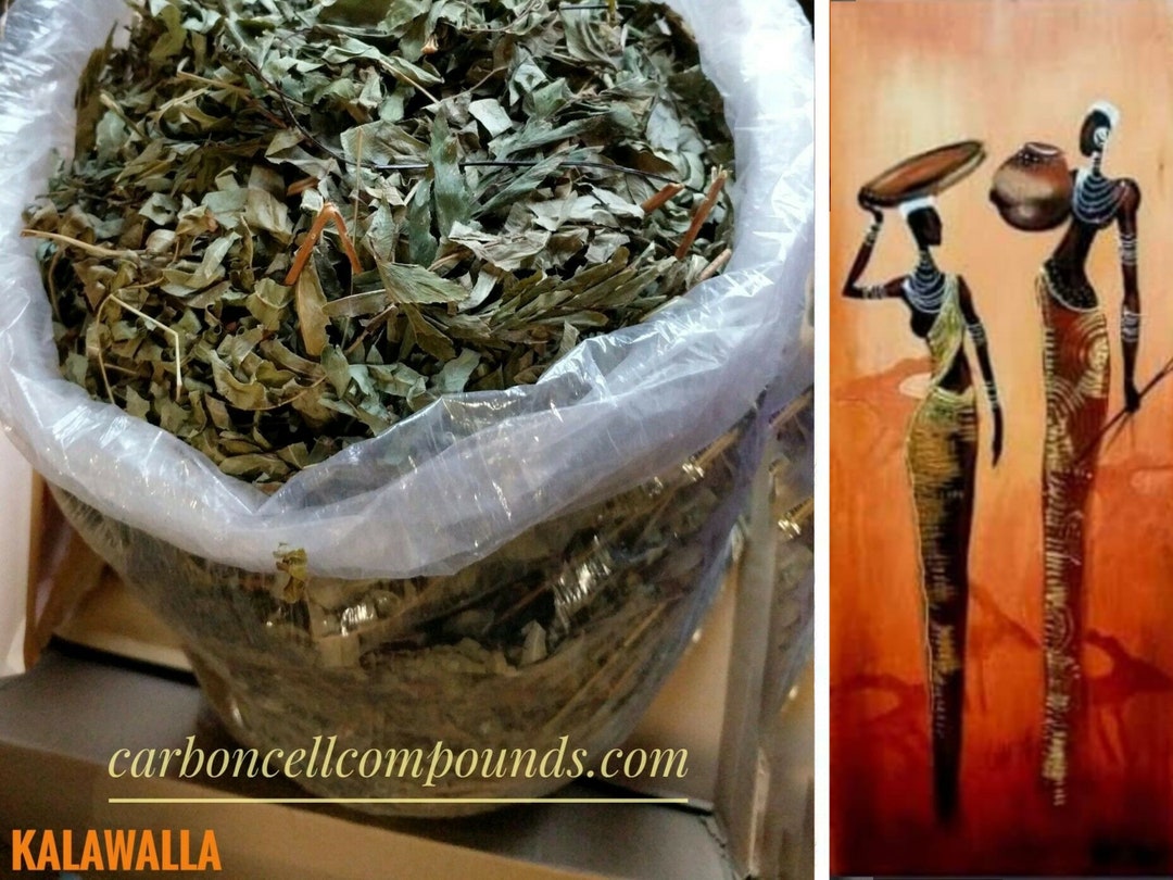 KALAWALLA - Origin. C/s.americas | - (next Wild-pick Nov 24 ...