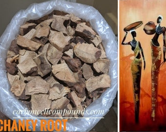 Cocolmeca smilax Dominquensis - Etsy