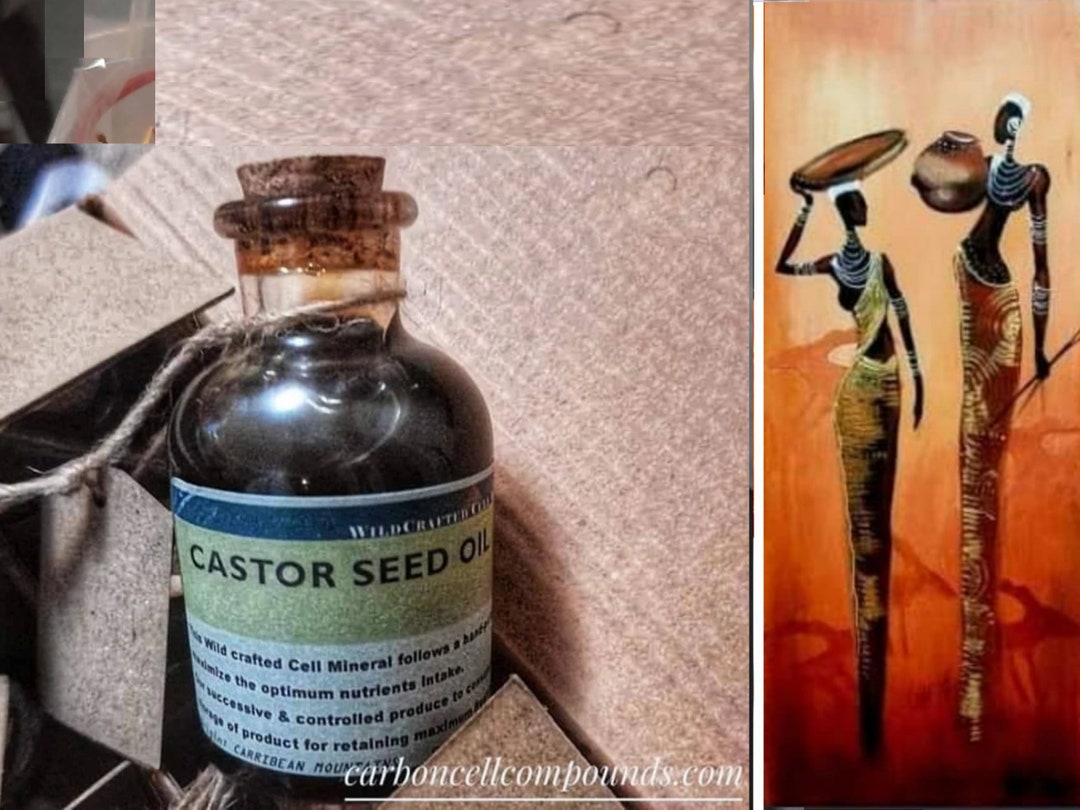 WILD CASTOR SEED Oil Wildcrafted and Homemade (origin. Caribbean ...