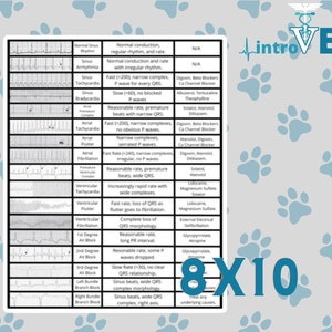 Veterinary ECG Tracings Chart Sticker,veterinary Cardiology Chart,vet ...