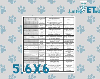 Veterinary ECG Chart Digital Download,veterinary Cardiac Chart ...