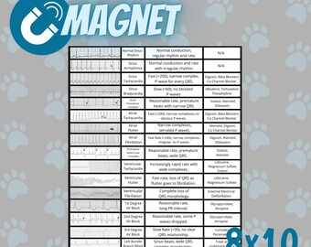 Veterinary ECG Tracings Chart Magnet,veterinary Cardiology Chart,vet ...