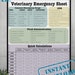 Veterinary ECG Chart Digital Download,veterinary Cardiac Chart ...