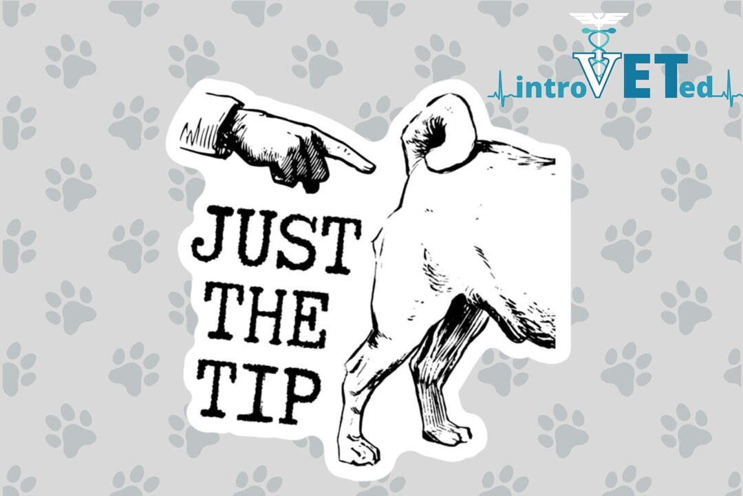 Just the Tip Sticker,veterinarian Sticker,vet Sticker, Vet Nurse ...