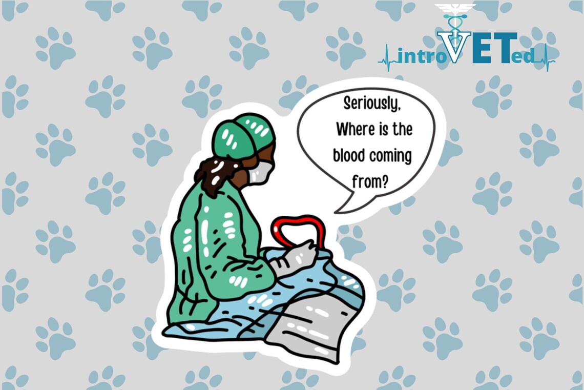 Surgeon Sticker,doctor Sticker,veterinarian Sticker, Medical Student ...