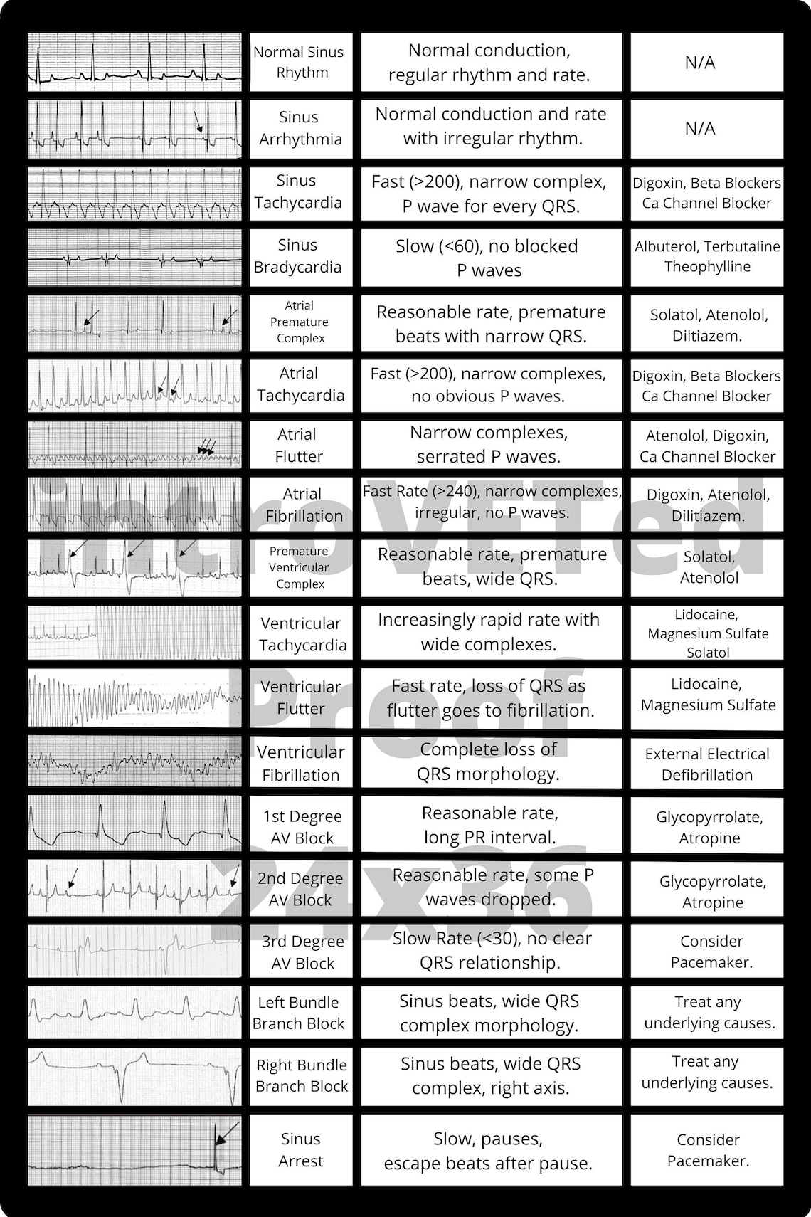 Veterinary ECG Chart Digital Downloadveterinary Cardiac Chart - Etsy