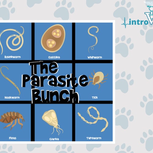 Veterinary Professionals Sticker Pack Vet Tech Stickers - Etsy