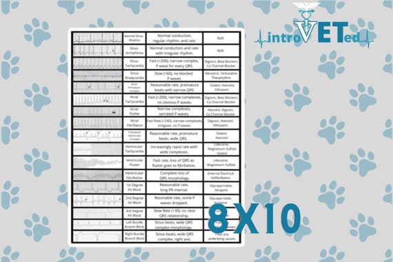 Veterinary ECG Tracings Chart Stickerveterinary Cardiology | Etsy