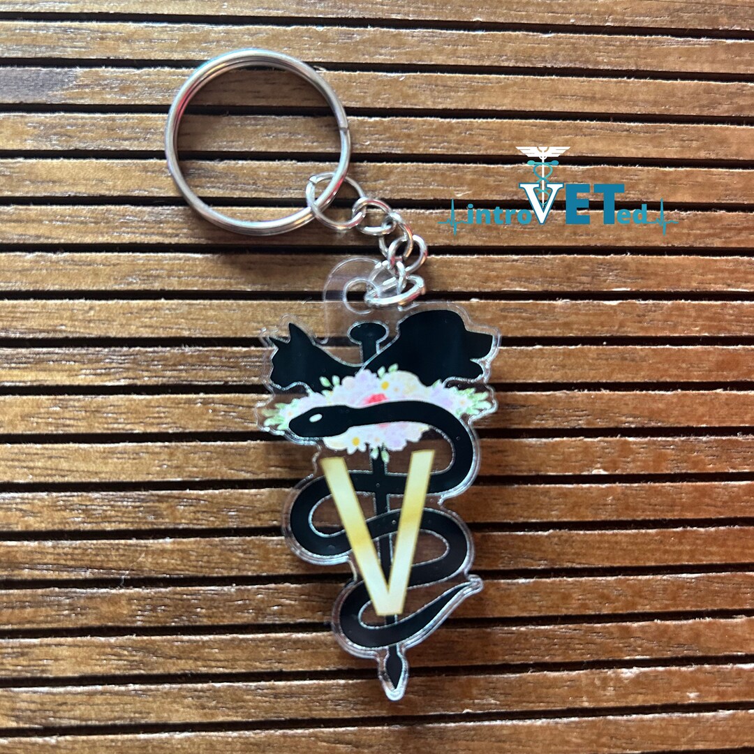 Veterinary Caduceus Keychain,veterinary Keychain,veterinarian Keychain ...