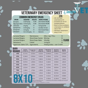 Small Animal Veterinary Emergency Chart Sticker,small Animal Medicine ...
