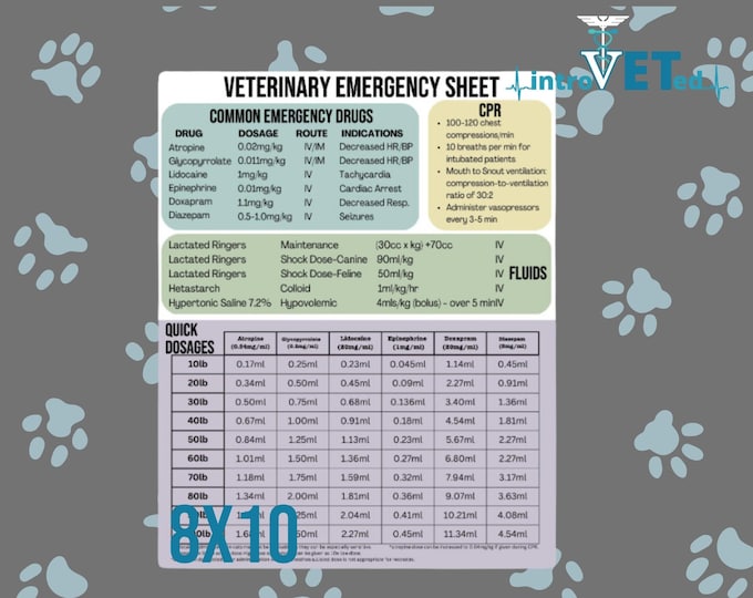 Small Animal Veterinary Emergency Chart Sticker,small Animal Medicine ...
