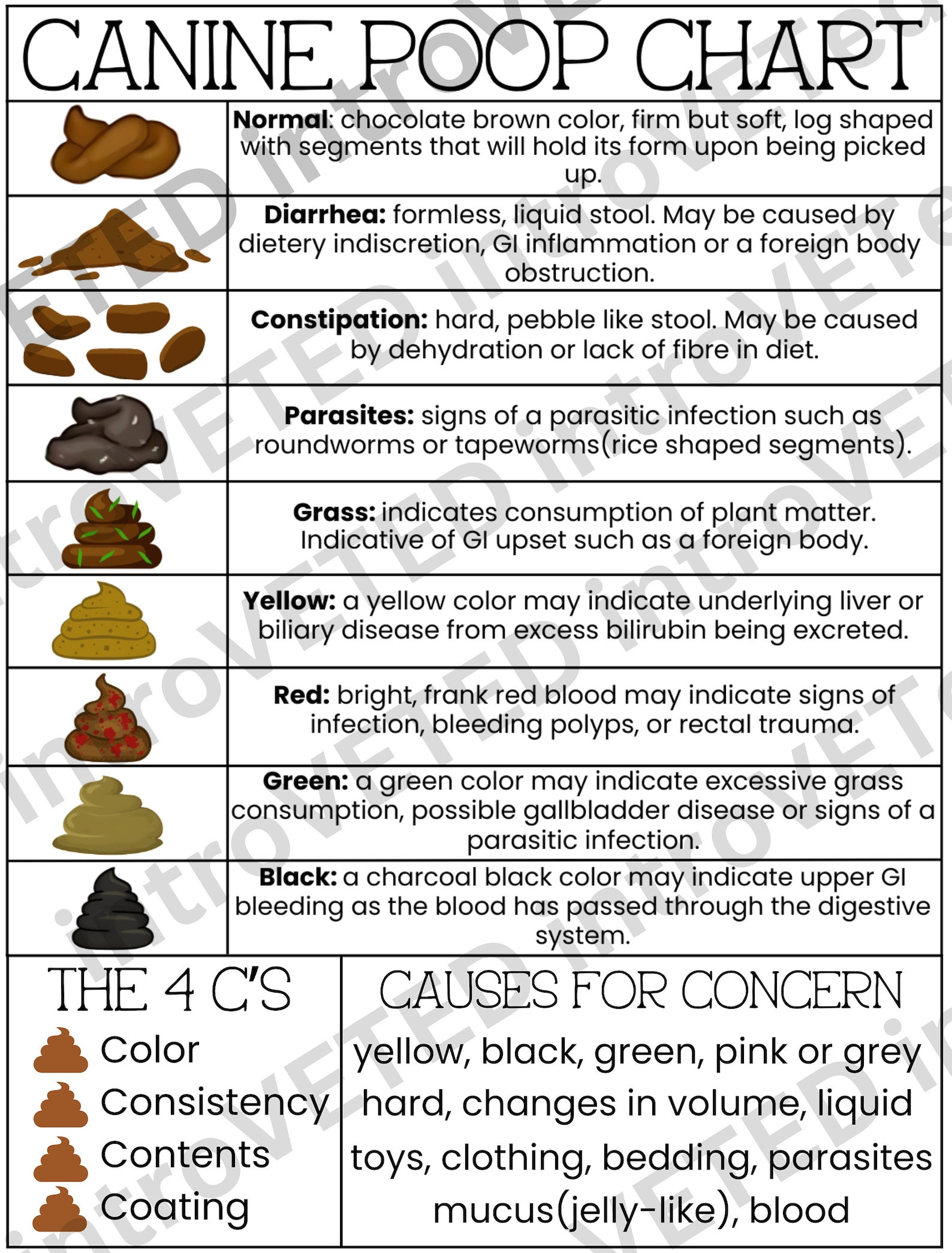 Canine Poop Chart Digital Download,canine Poop Chart Printable ...