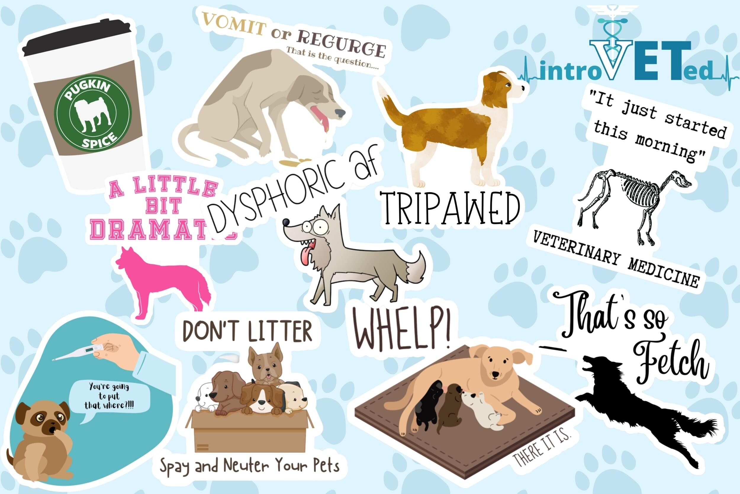 Dog Sticker Pack-set of 10veterinarian Stickersvet Tech - Etsy