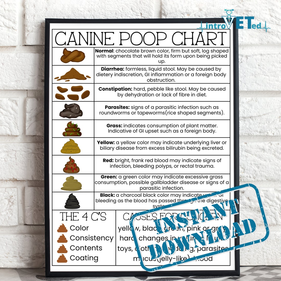 Canine Poop Chart Digital Download,canine Poop Chart Printable ...