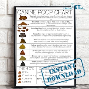 Canine Poop Chart Digital Download,canine Poop Chart Printable ...