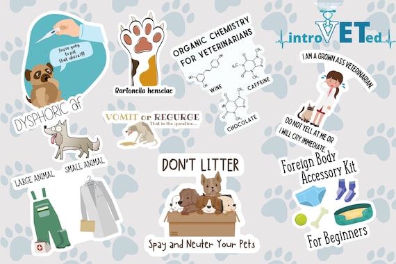 Surprise Veterinarian Sticker 5-pack Mystery Sticker - Etsy