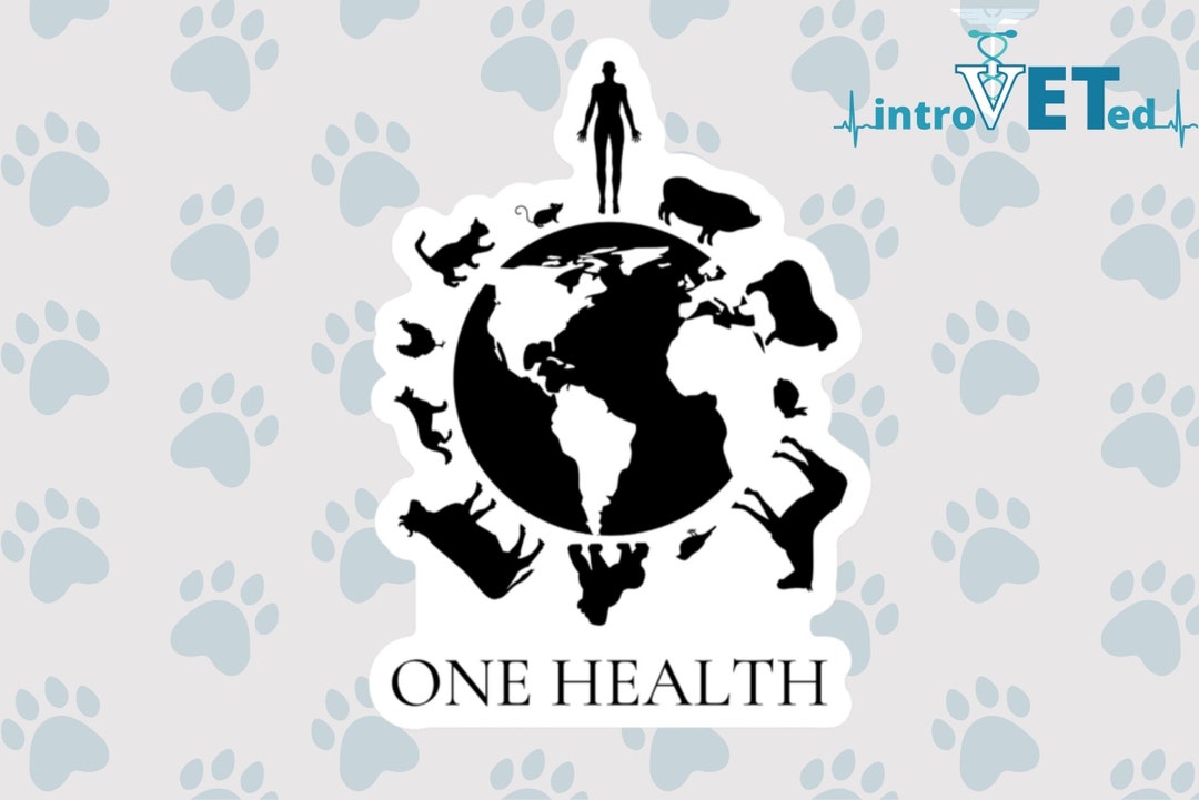One Health Sticker, Veterinarian Sticker, Doctor Sticker, Infectious ...