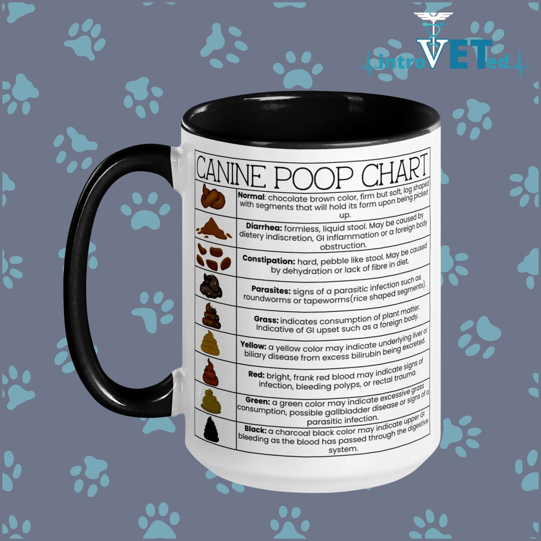 Canine Poop Chart Mug,veterinary Medicine Mug,dog Poop Mug, Vet Tech ...
