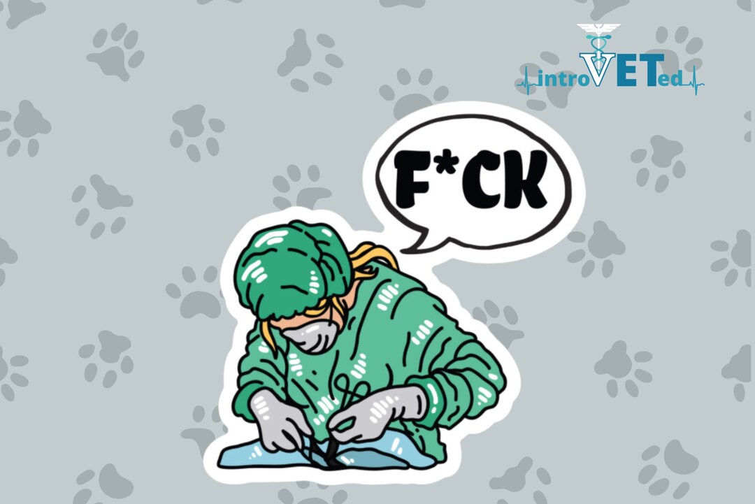 F*CK Surgeon Female Sticker,doctor Sticker,veterinarian Sticker ...