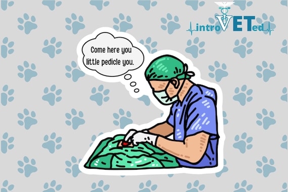 Surgeon Stickerdoctor Stickerveterinarian Sticker Medical - Etsy