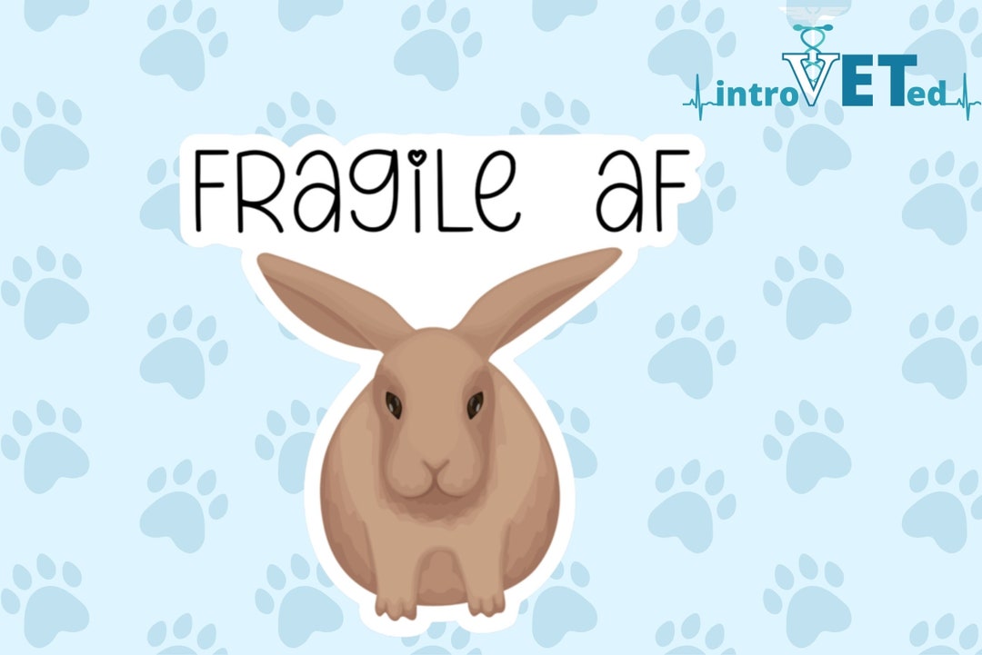 Fragile AF Sticker, Veterinarian Sticker, Vet Student Sticker, Vet Tech ...