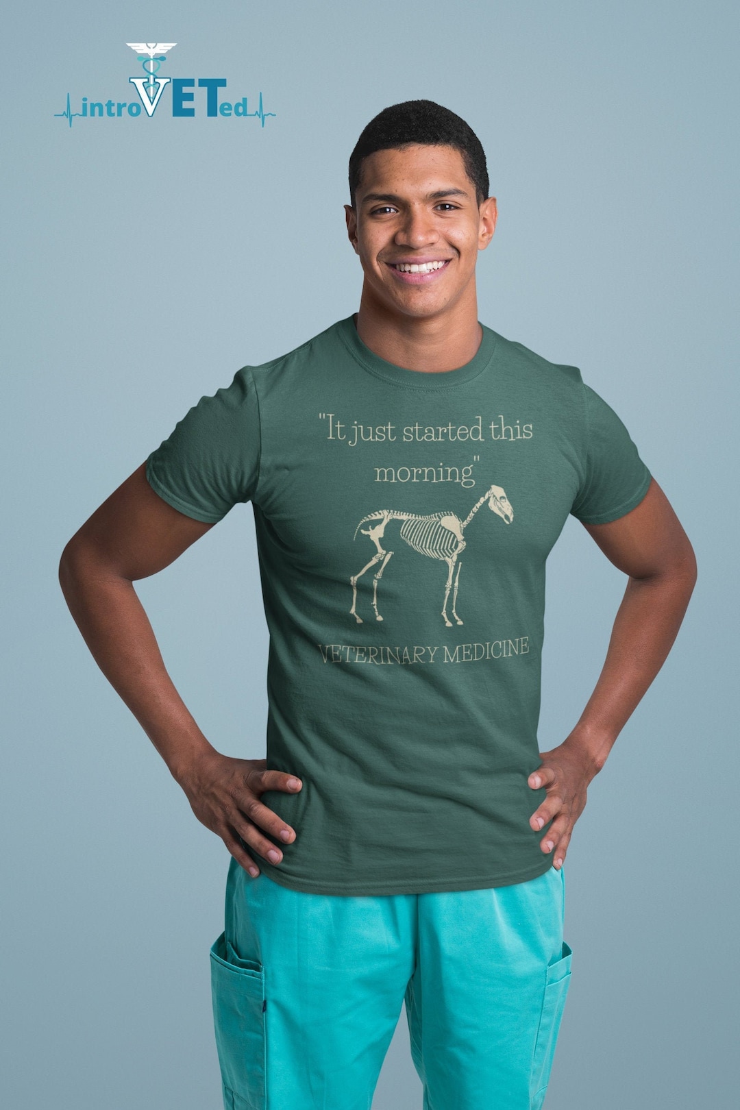 Veterinarian Shirt, Vet Tech Shirt, Horse Shirt, Veterinarian Gift, Vet ...
