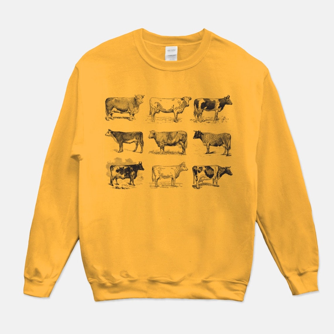 Cow Unisex Sweatshirt,cow Sweater,cow Apparel,large Animal Veterinarian ...