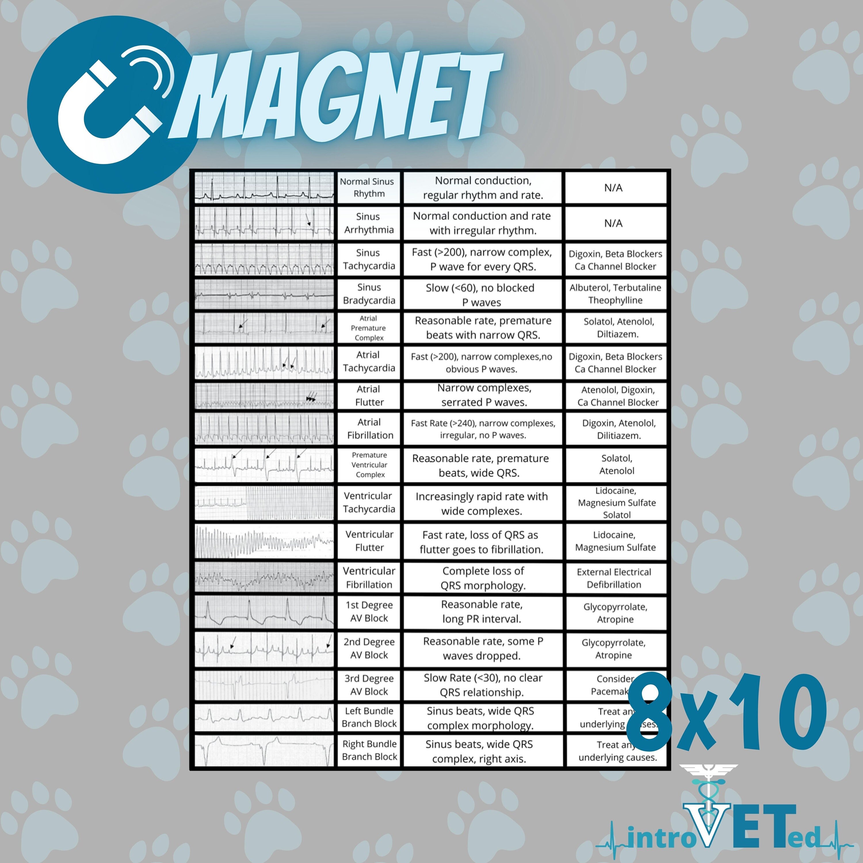 Veterinary ECG Tracings Chart Magnetveterinary Cardiology - Etsy