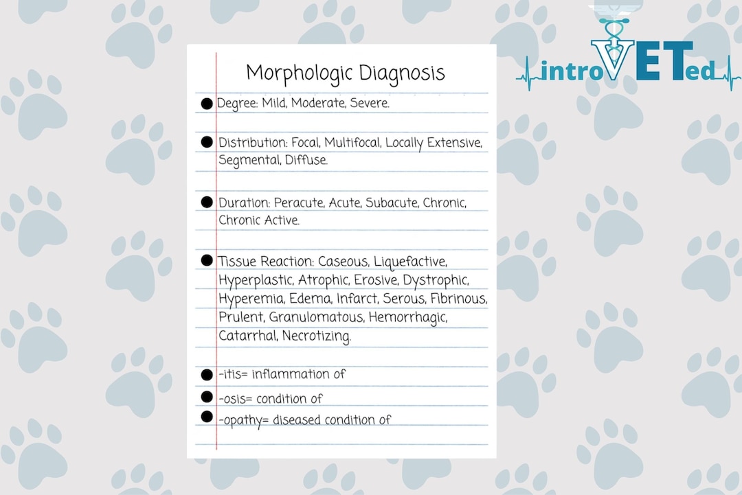 Morphological Diagnosis Sticker,vet Med Sticker,veterinarian Sticker ...