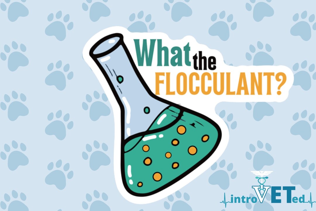 What the Flocculant Sticker,chemistry Sticker,chemist Sticker ...