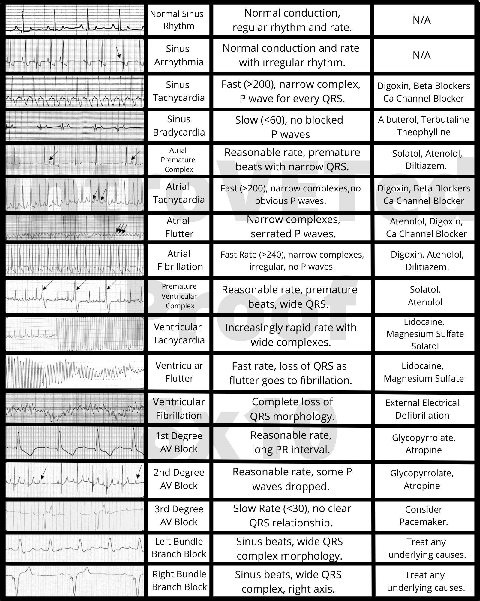 Veterinary ECG Chart Digital Downloadveterinary Cardiac Chart - Etsy UK