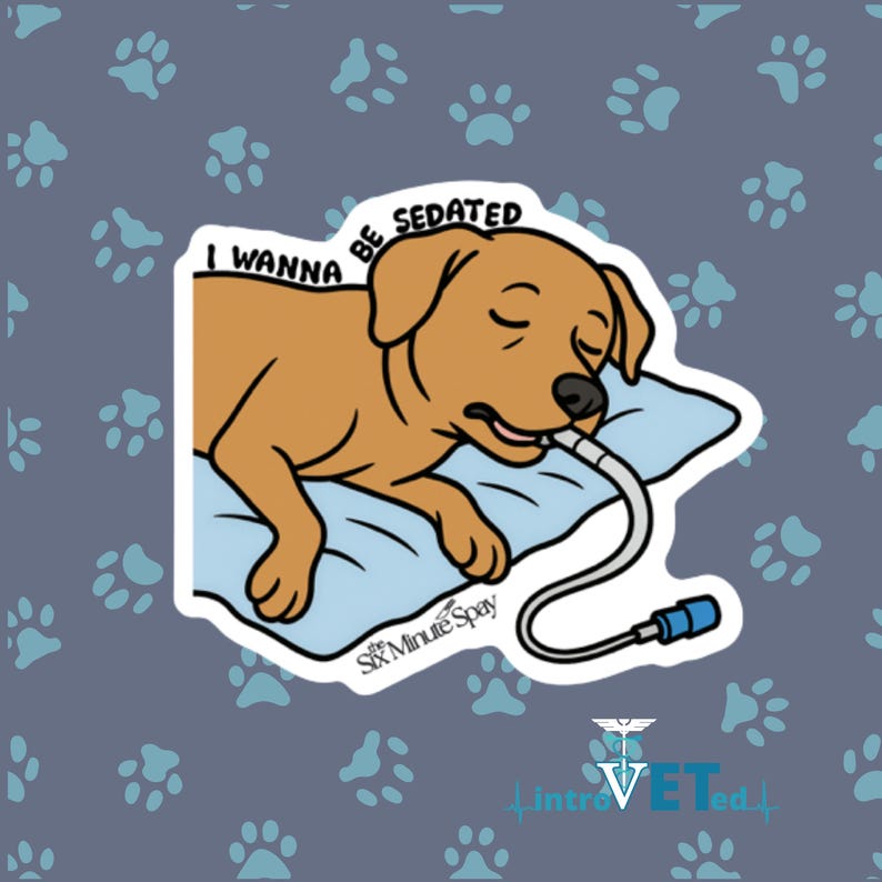 I Wanna Be Sedated Sticker,veterinarian Sticker,vet Sticker,spay and ...