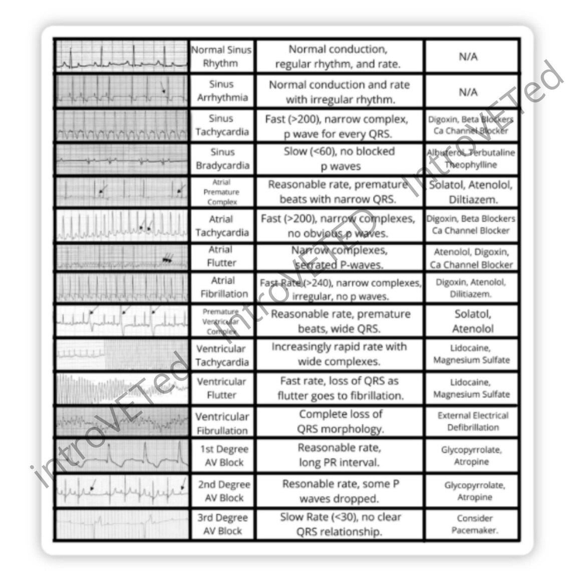 Veterinary ECG Tracings Chart Magnetveterinary Cardiology - Etsy