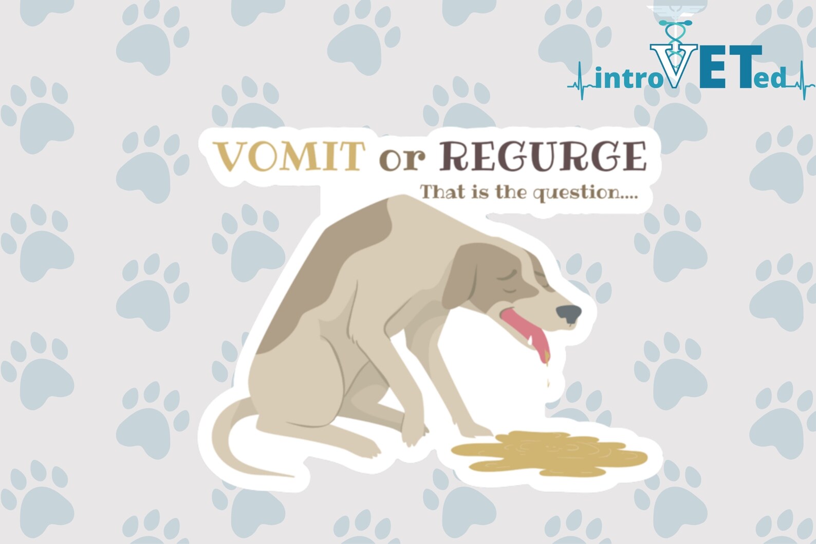 Vomit or Regurge Sticker Veterinarian Sticker Vet Student - Etsy