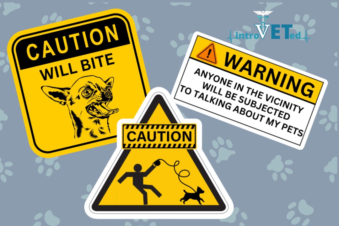 Veterinary Hazards Sticker Set of 3,vet Stickers,vet Tech Stickers,vet ...