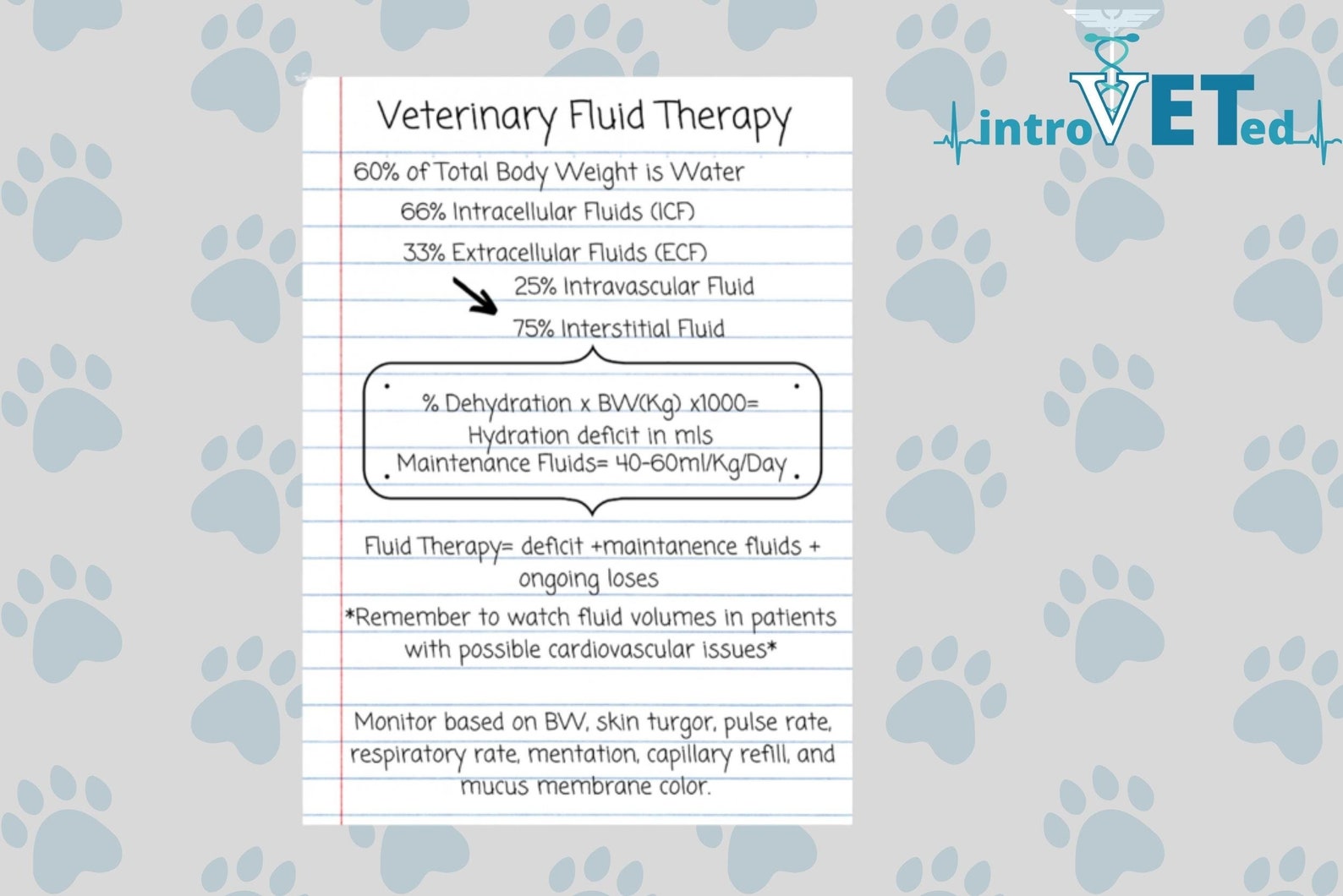 Vet School Sticker, Vet School Notes Sticker, Vet School Study Guide ...