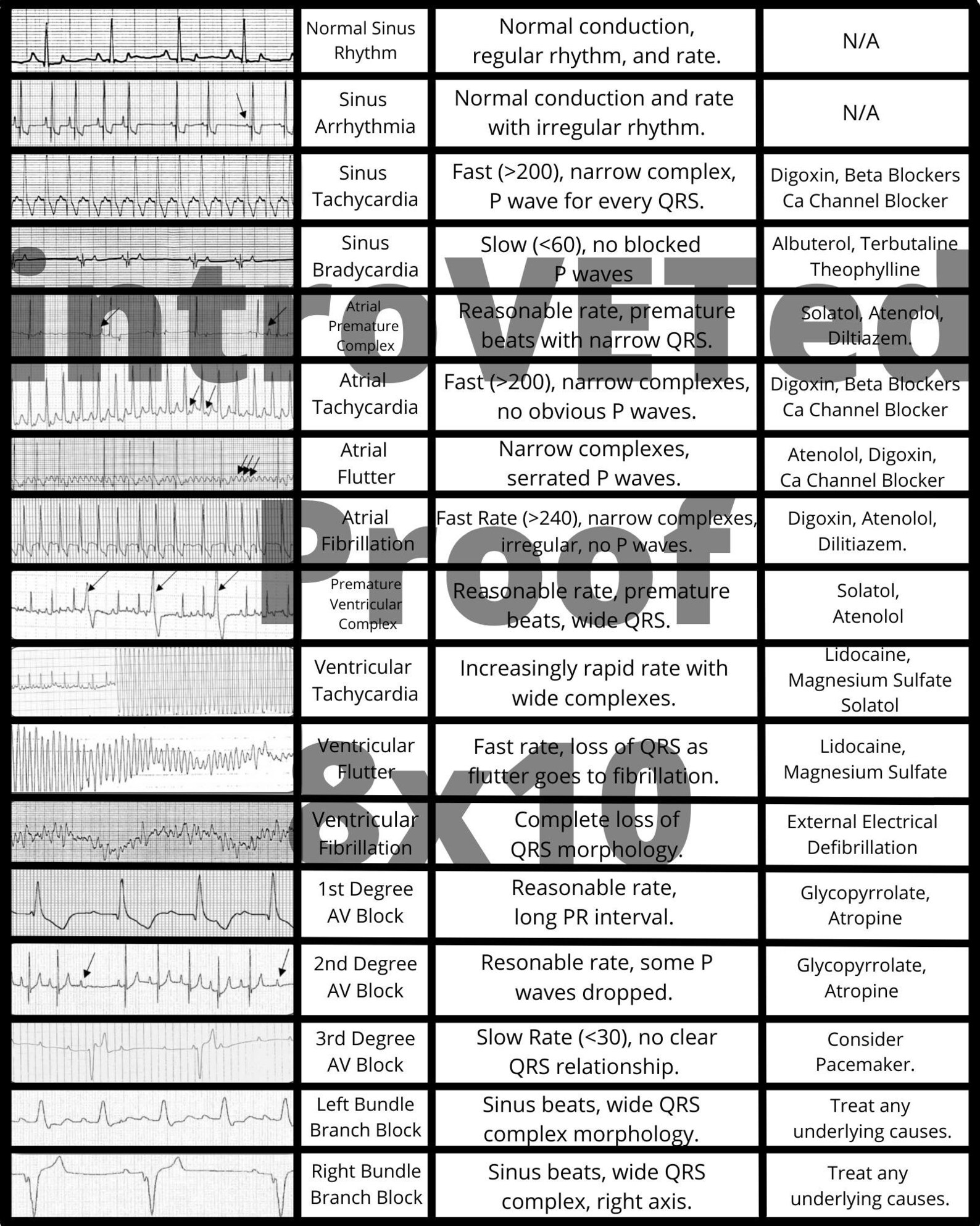 Veterinary ECG Tracings Chart Magnetveterinary Cardiology - Etsy