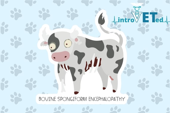 Bovine Spongiform Encephalopathy Stickercow Stickerbse | Etsy