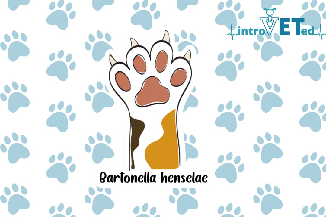 Cat Scratch Fever Sticker, Veterinarian Sticker, Vet Tech Sticker, Vet ...