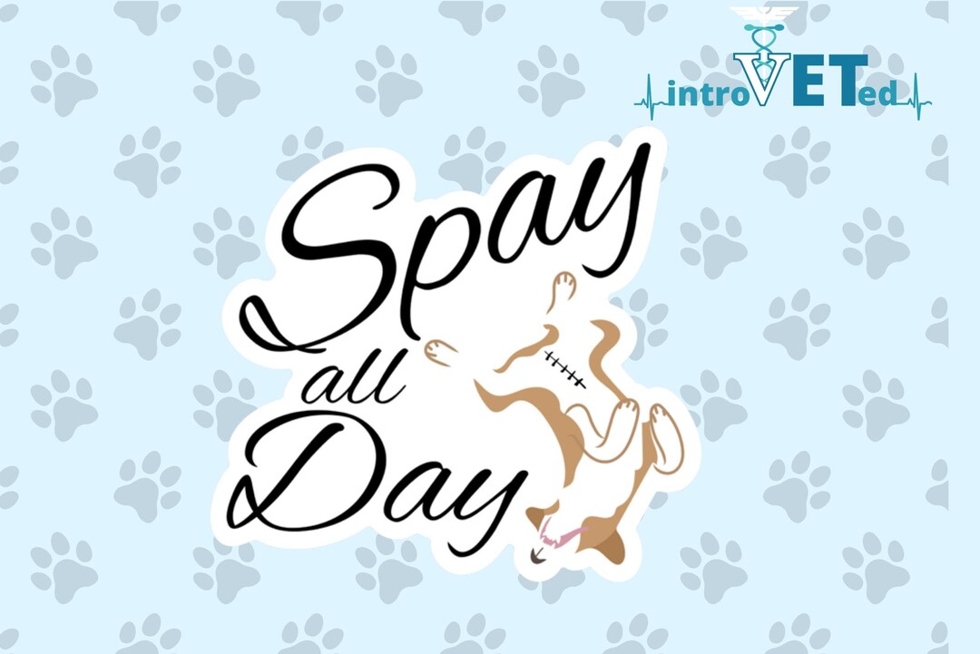 Spay All Day Sticker,veterinarian Sticker,dvm Sticker,vet Student ...