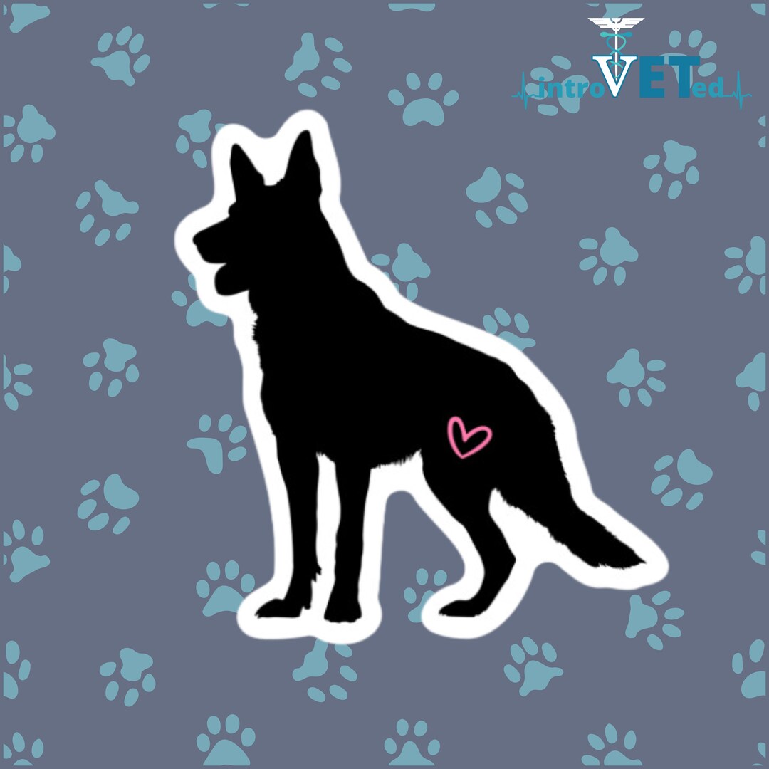 GSD Dog Amputee Sticker,canine Cancer Sticker,tripod Sticker ...
