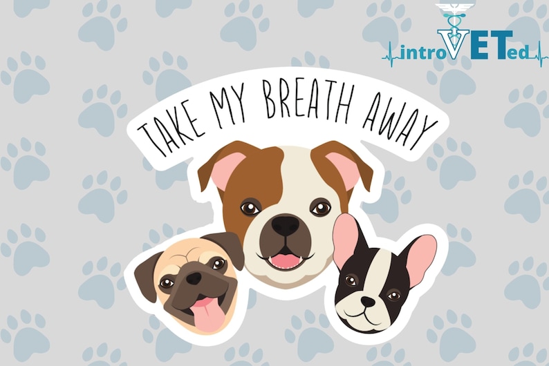 Take My Breath Away Stickerdog Stickerveterinarian - Etsy