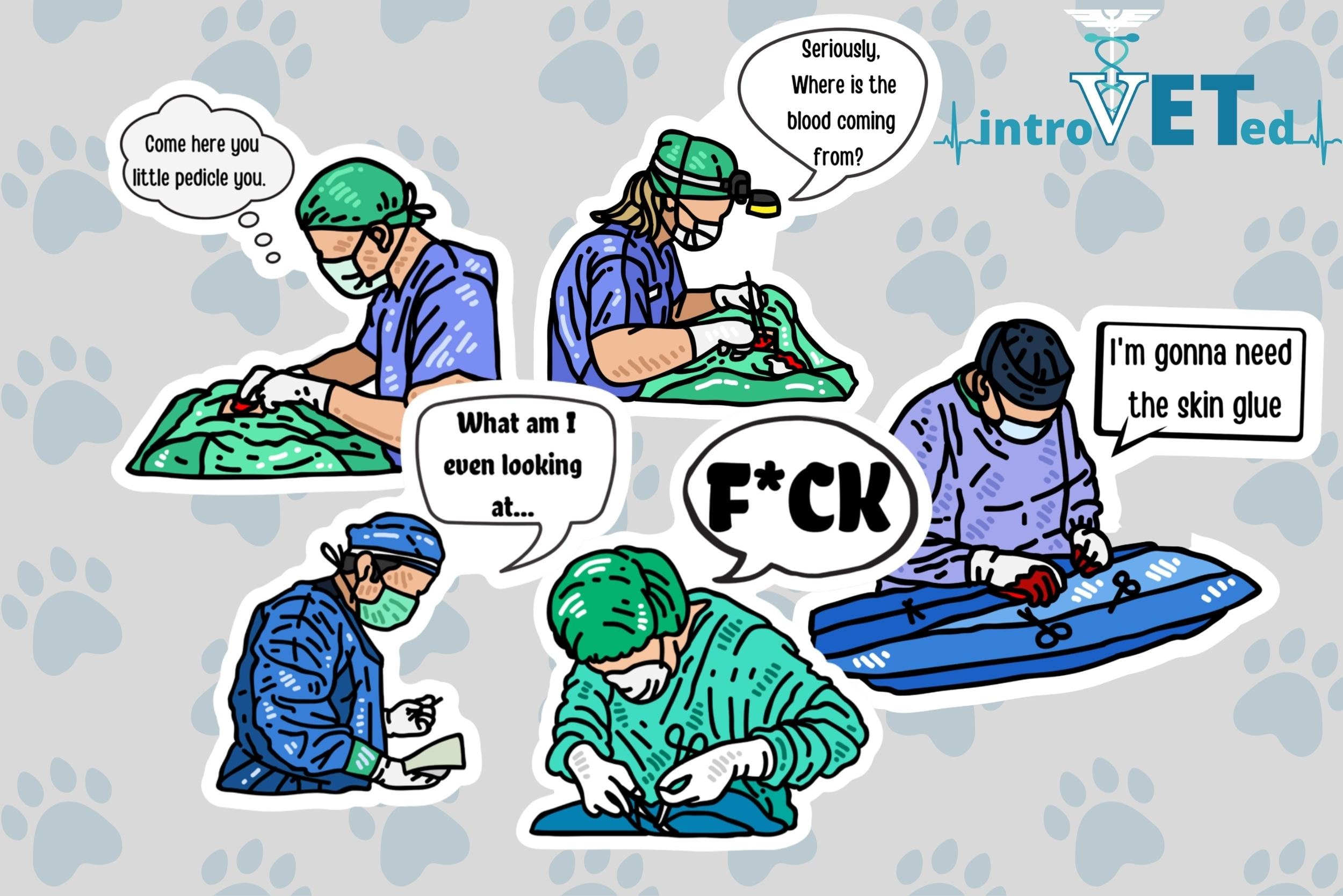 Surgeon Sticker 5-packfunny Doctor Sticker Packsurgeon - Etsy